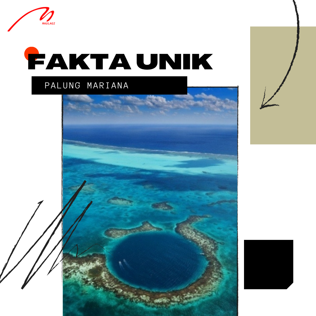 Tahukah Kamu Fakta Unik Palung Mariana, Palung Terdalam Di Dunia | Maulagi